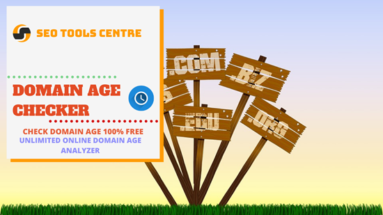 Online Domain Age Checker | Check Domain Age | SEO Tools Centre Online Domain Age Checker | Check Domain Age | SEO Tools Centre