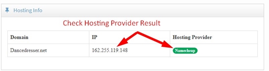 Check Website's Hosting Information | SEOToolsCentre
